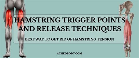 Hamstring Trigger Points And Release Techniques The Ached Body