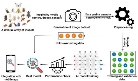 From Lab To Field Ai Based Approach For Precise And Early Detection Of Pestiferous Insects