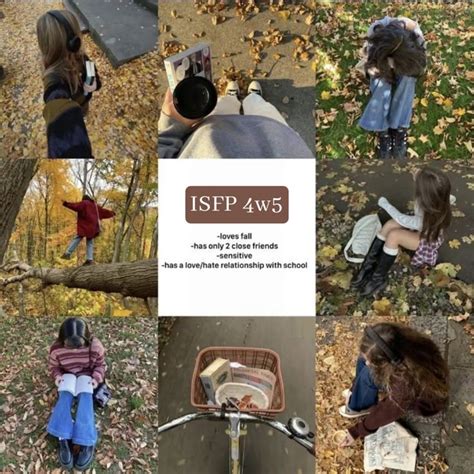Isfp 4w5 Isfp Infp Personality Mbti Personality