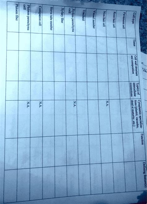 Solved De Cell Wall Structure Types Of C And Composition