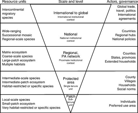 Summary Of Social Ecological Patterns And Processes At Different