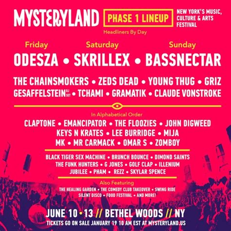 Black Tiger Sex Machine Celebrates The Announcement Of The Mysteryland Usa Lineup With An