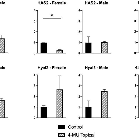 Hyaluronan Synthase And Hyaluronidase Expression In Murine Dorsal Skin