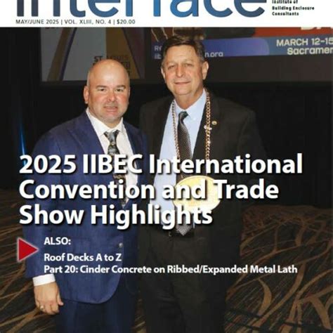 Interface Issue Iibec Interface Issue Iibec