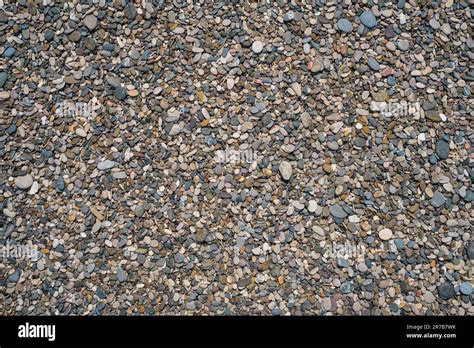 Round Pebble Texture Background Pebble Sea Beach Close Up Dark Round Pebbles And Gray Dry