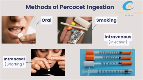 How Long Does Percocet Stay In Your Urine