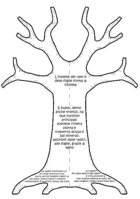 ボード「albero」のピン
