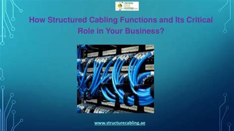 PPT How Structured Cabling Functions And Its Critical Role In Your