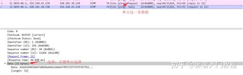 【2023最新版】超详细wireshark安装保姆级教程，wireshark抓包网络分析，收藏这一篇就够了 知乎