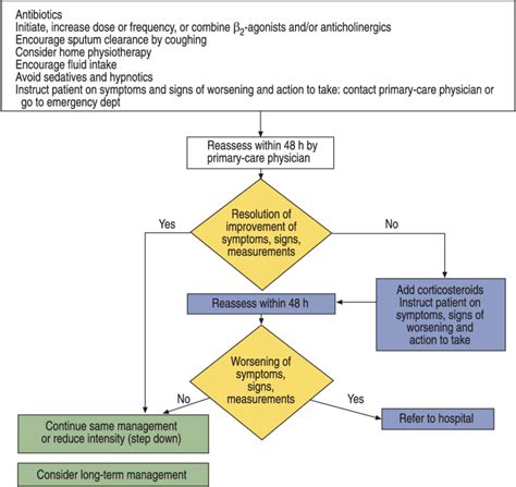 Algorithm For The Home Management Of A Level I Mild Exacerbation Of