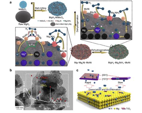 A Schematic Diagram Of Hydrogenation And Dehydrogenation Processes Of