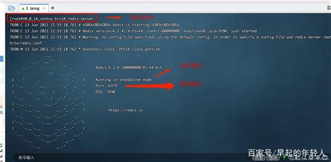 Centos Bin，探索linux系统中的神秘二进制目录 Hcrm博客