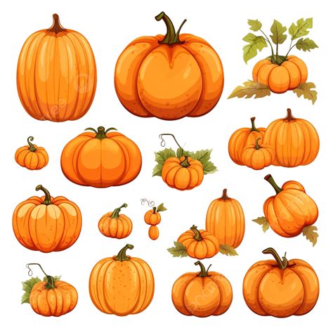 Cartoon Pumpkin Set Thanksgiving Cute Clipart Autumn Symbol