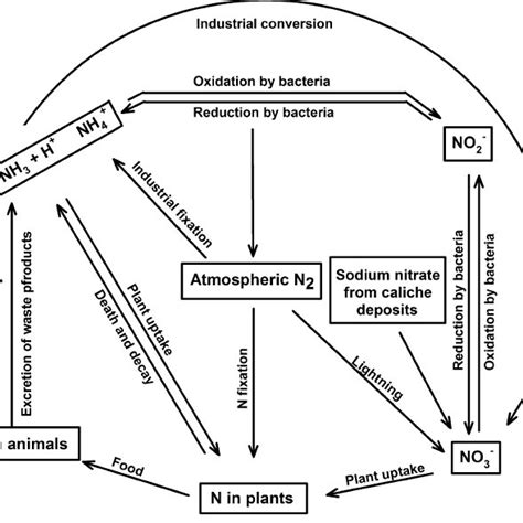 9 Overall Rorb Runoff Routing Model Monash University 2015 Download Scientific Diagram