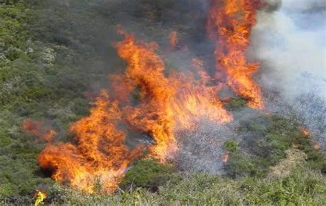 Stephen Devine On Linkedin Understanding The Impact Of Human