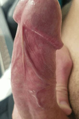 Big Dick Lezzamoures