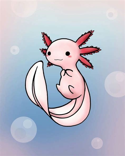 Kawaii Cute Axolotl Drawing Drawing Tips Guide
