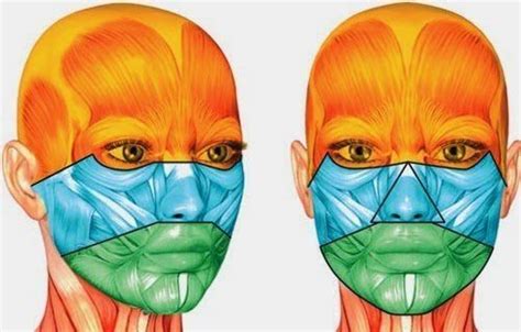 Conseguir Resultados Naturales En Rejuvenecimiento Facial