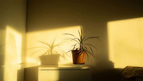 What Is The Best Truss Bridge Design A Guide To Strength And