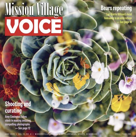 Mission Village Voice