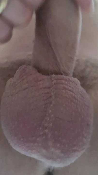 Introducing The Sac And Its Balls Gay Amateur Porn Feat Testicarl