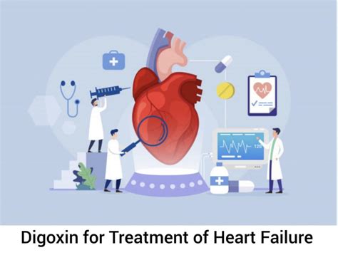 Digoxin For Congestive Heart Failure Anzen Exports