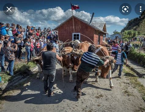 7 Costumbres Y Expresiones Chilenas Cuyo Origen Mapuche Probablemente