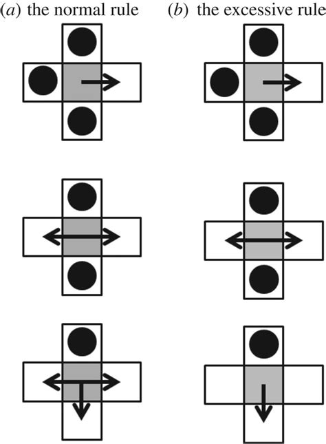 Schematic Illustrations Of Reaction Rules A The Normal Reaction B Download Scientific