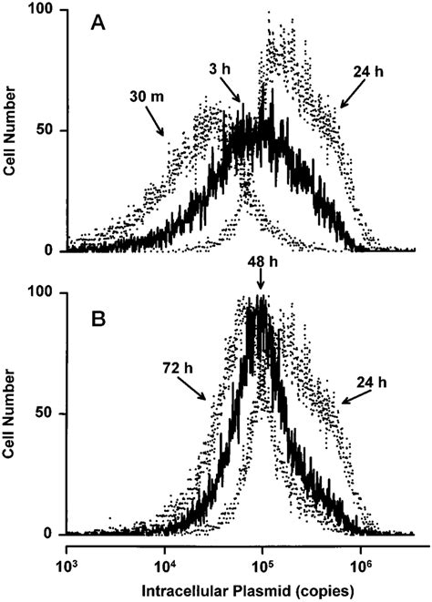 Intracellular Plasmid Copy Number Increases During Exposure To The