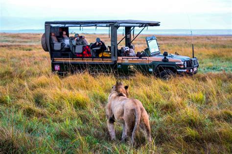 Safari Authentique Au Masai Mara Soroi Mara Bush Camp