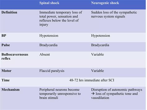 Diseases Of Spinal Cord Ppt