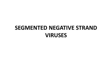 Ppt Rna Viruses Powerpoint Presentation Free Download Id3000472