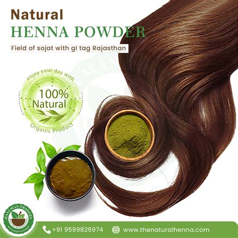 Henna Powder Perth At Donna Champion Blog