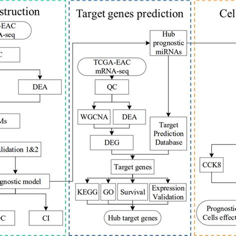 The Entire Analysis Flow Chart Qc Quality Control Dea Differentially