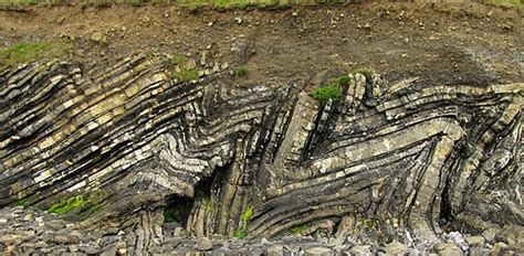 Interbedding Wikipedia