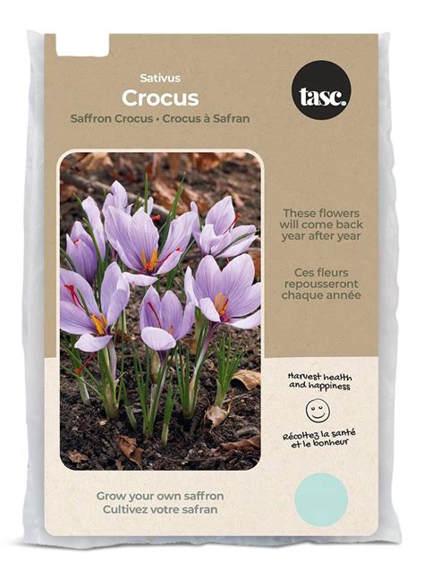 Bulbs Are Easy Saffron Crocus Bulb For Your Home Garden Canadian Tire