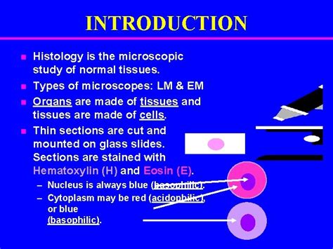 Introduction To Histology And Cell Structure Content Objectives