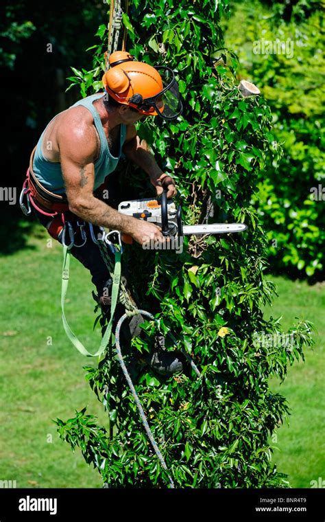 Tree Surgeon Hi Res Stock Photography And Images Alamy