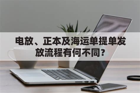 电放、正本及海运单提单发放流程有何不同？ Fei56 Fei56
