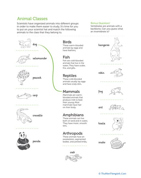 Classifying Animals Thư Viện Tiếng Anh