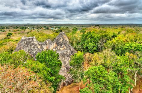「becan」の写真素材 1343件の無料イラスト画像 Adobe Stock