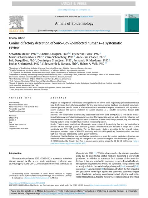 Pdf Canine Olfactory Detection Of Sars Cov 2 Infected Humans A