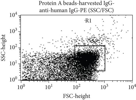 A D Ssc Versus Fsc Dot Plot Of The Immunocomplex Protein A Download Scientific Diagram