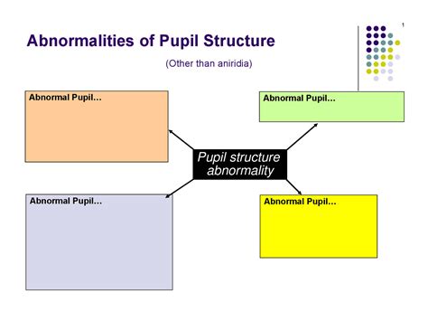 Abnormalities Of The Human Pupil Shape Location Number And Size