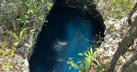 Cancun 2 Cenote Dives The Pit And Dos Ojos Certified Divers Getyourguide
