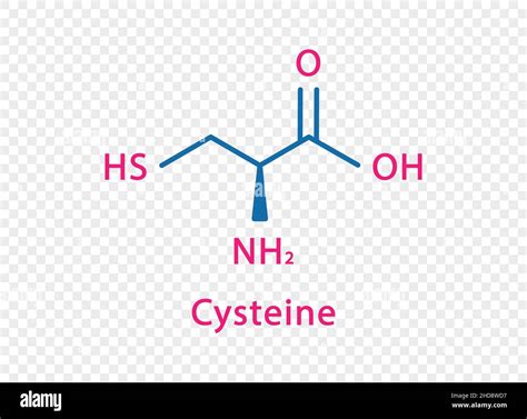 Cysteine Chemical Formula Cysteine Structural Chemical Formula
