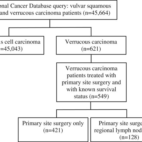Incidence Of Vulvar Cancer A Squamous Cell Carcinoma B Verrucous