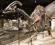 Ornithopoda Wikipedia