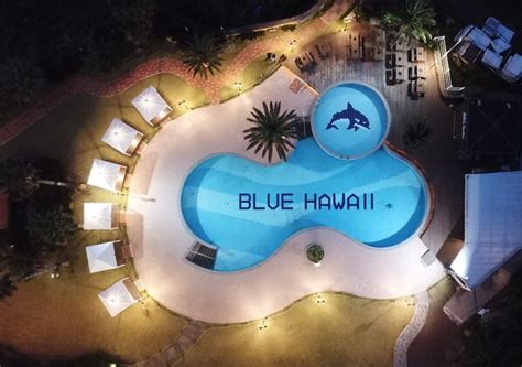Blue Hawaii Hotel Reviews Deals And Photos 2026