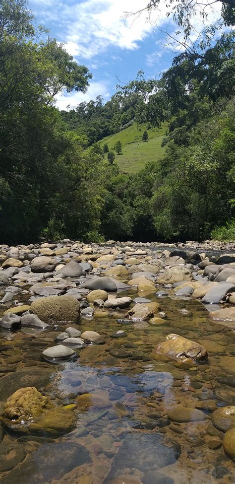 Oh No Not Again Amanda Panda Medium